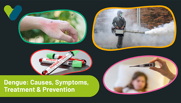 Dengue: Meaning, Dengue Types, Symptoms & Risk Factors For Dengue | Livlong